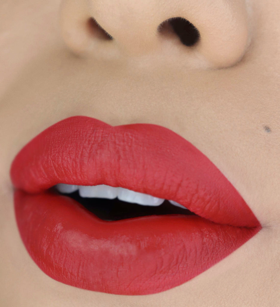 Matte Liquid Lips (026, Brick) – MOIRA BEAUTY