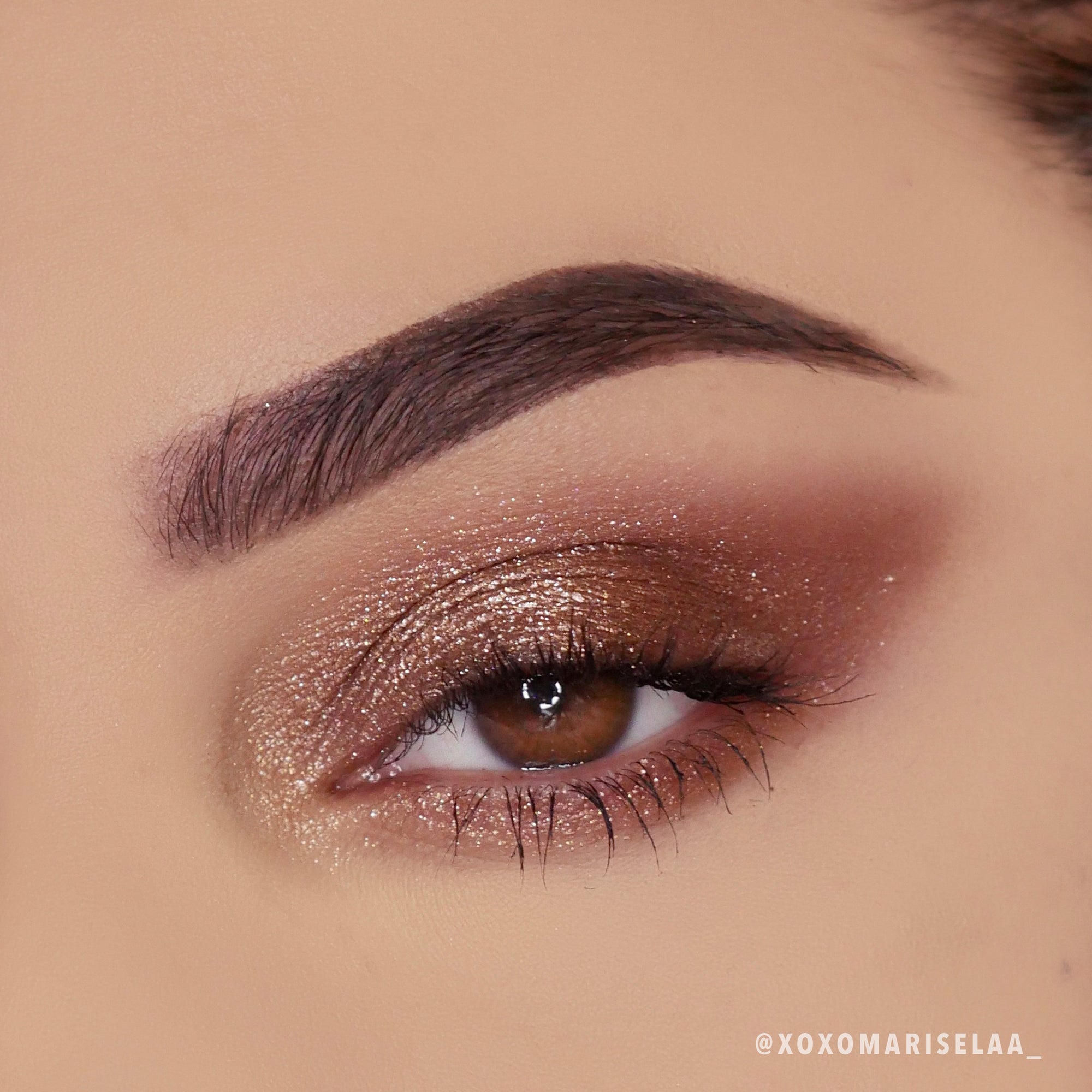 Starshow Shadow Pot (005, Muse)